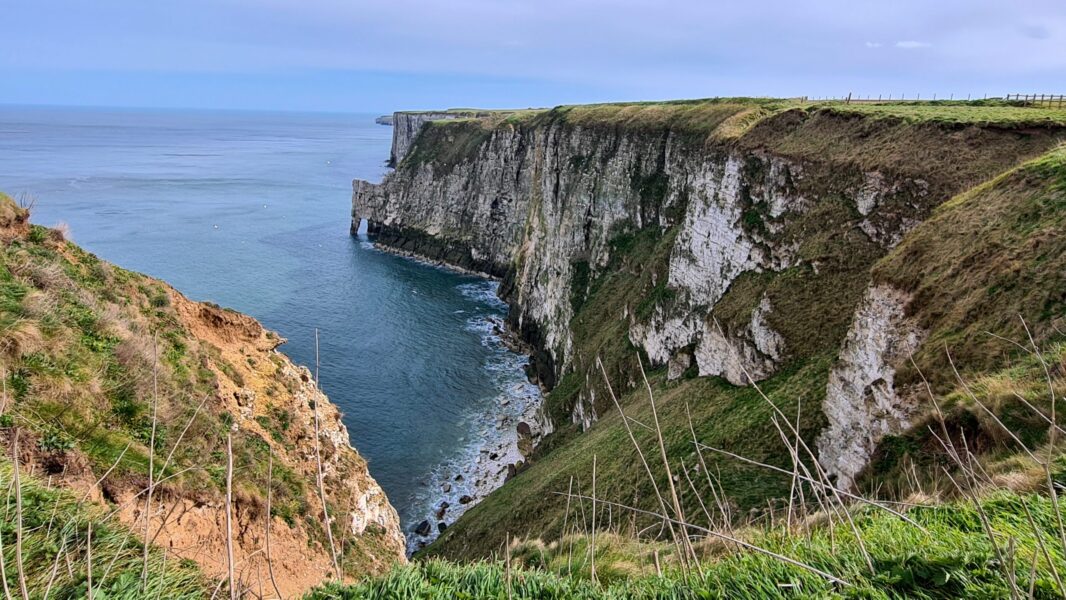 Visit Bempton Cliffs: Puffins, Walks & Stunning Views